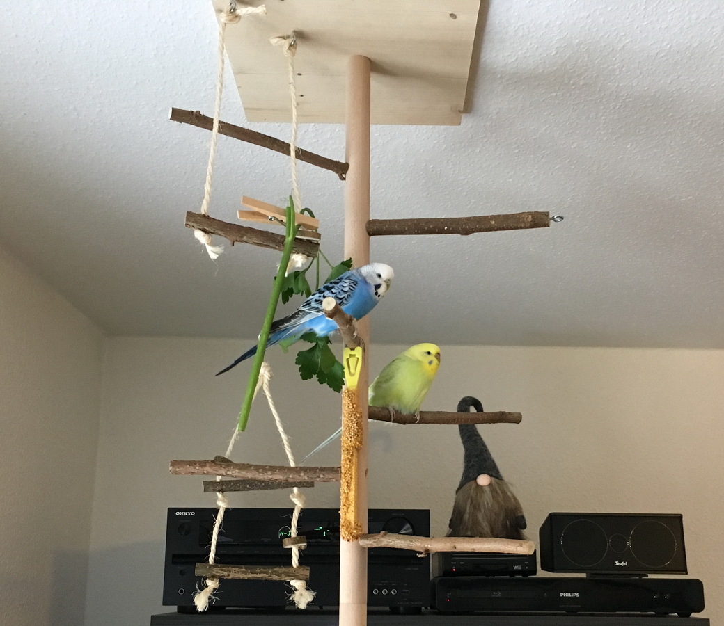 Genau das Richtige für meine Wellensittiche - Vogel-Kletterbaum - cmace ...